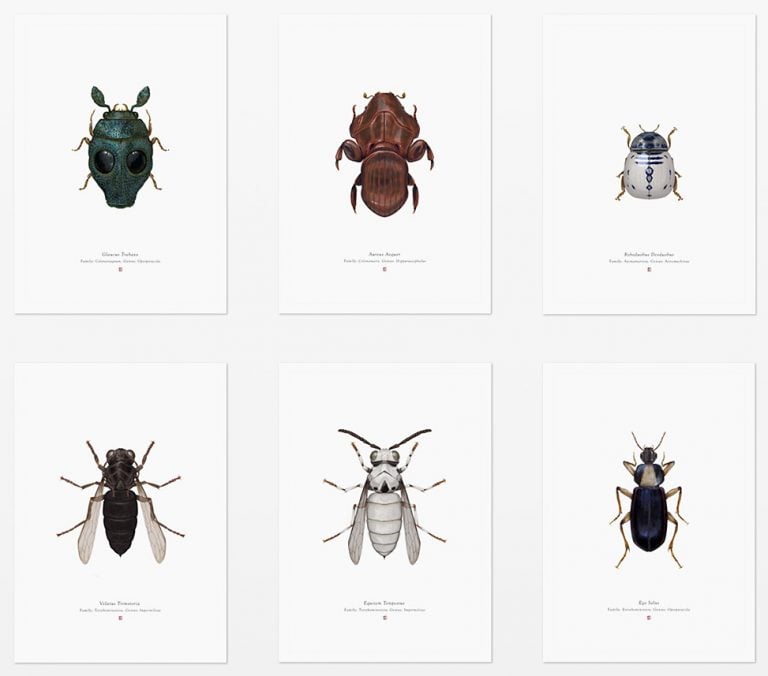 Look Closely At These Star Wars Insect Prints | WERD