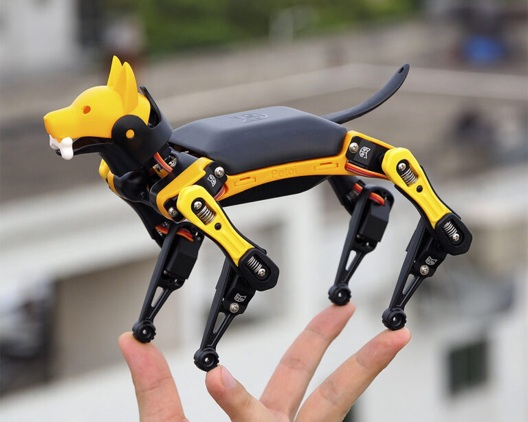 Learn Robotics from Your Programmable Pet | werd.com