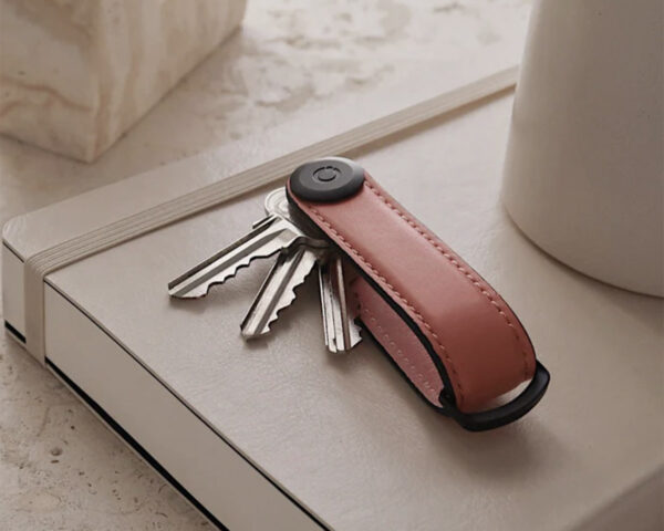 11 Best Key Holders: Small Cases for Organization | WERD