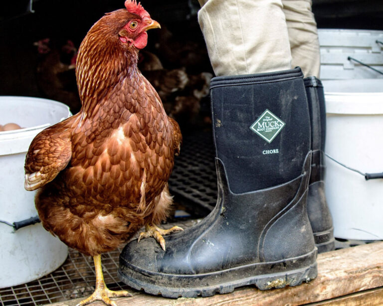 11 Best Men’s Rubber Boots for Rain & Mud Protection in 2026 | WERD
